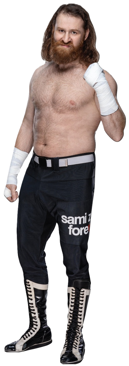 Pro Wrestling Boxscore - WWE Event Results, Match Cards & Live Coverage