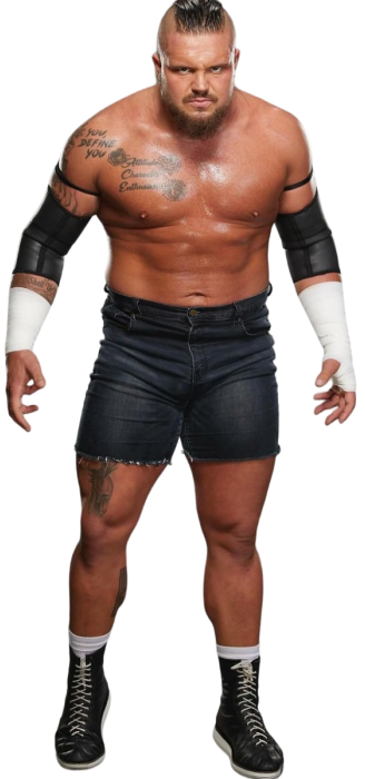 Pro Wrestling Boxscore - WWE Event Results, Match Cards & Live Coverage